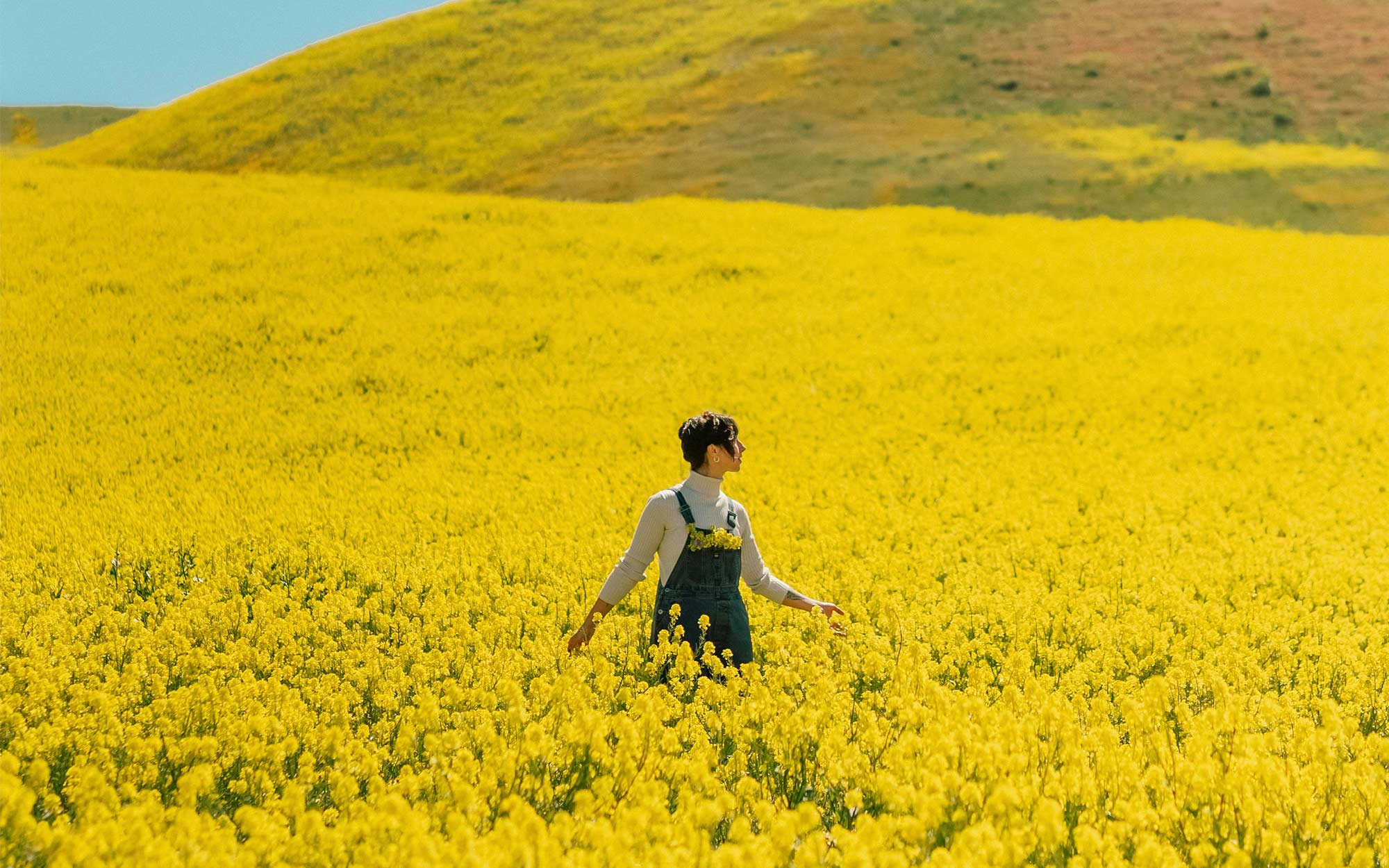 All Products – baroma