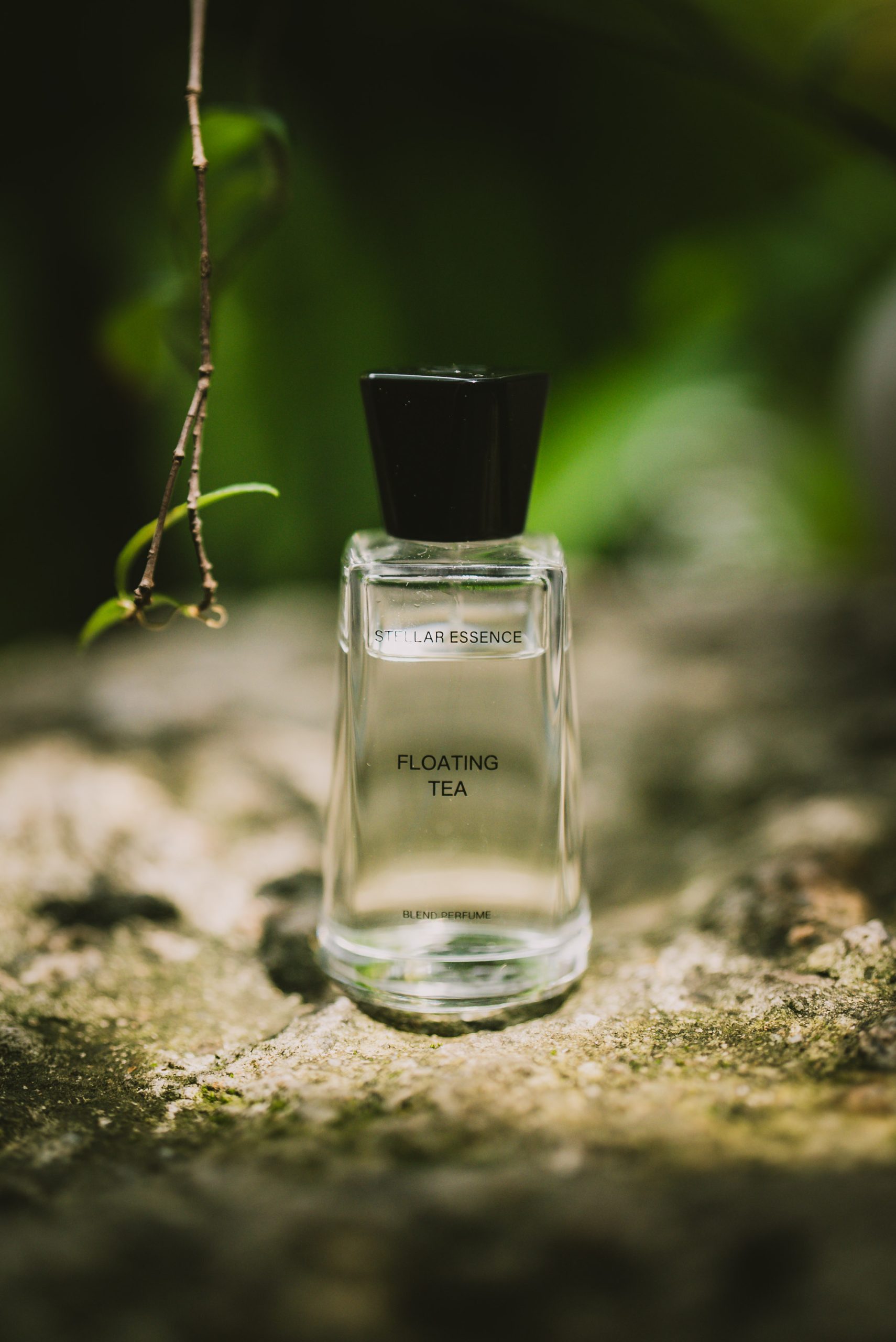 5 Tea Fragrances & Their Calming Properties – baroma